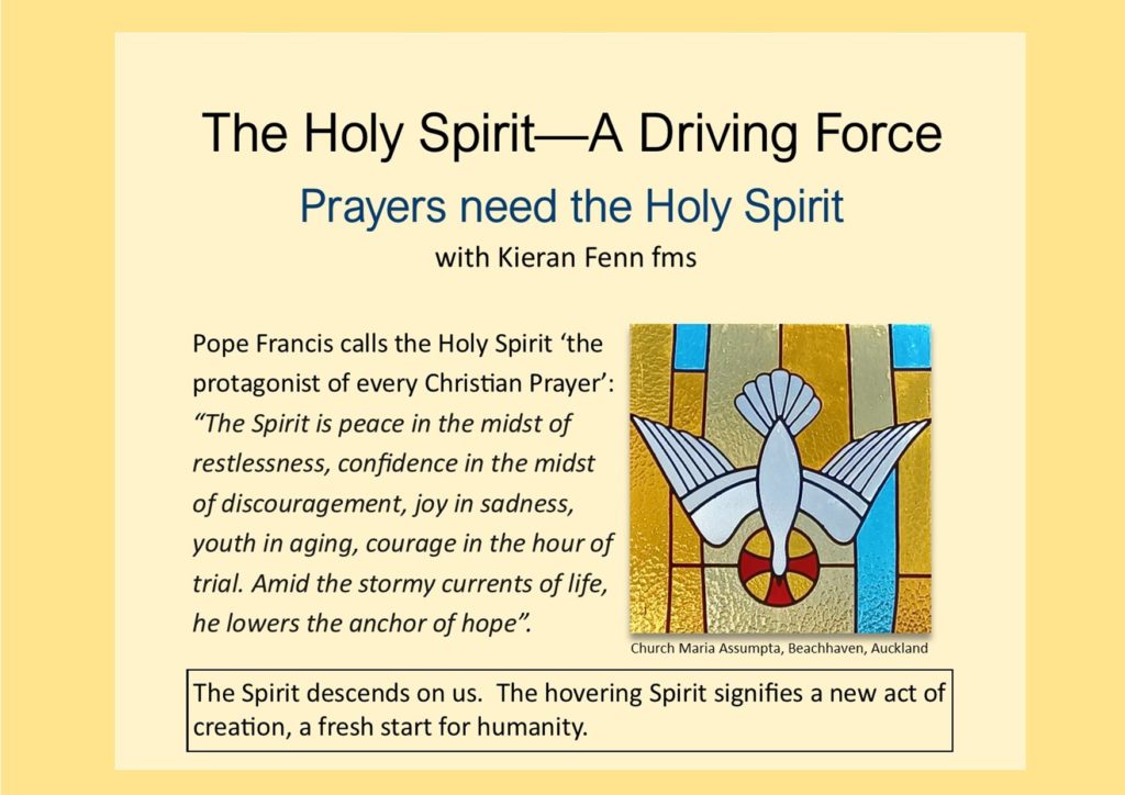 Synodality explained – Titipounamu – Study & Joy